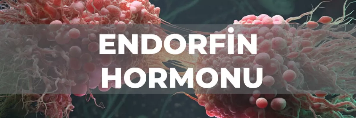 Endorfin Hormonu Nedir?
